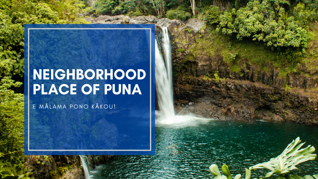 About Us - Neighborhood Place of Puna